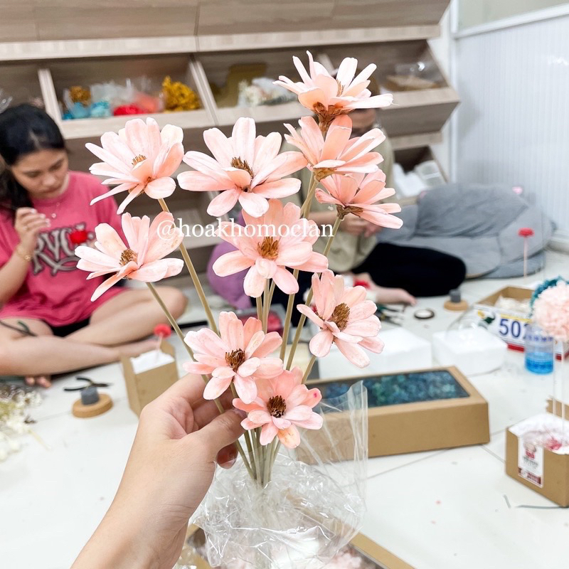 Hoa khô handmade ️FREESHIP ️ Hoa cúc bướm gỗ Butterfly dụng cụ cắm hoa ...
