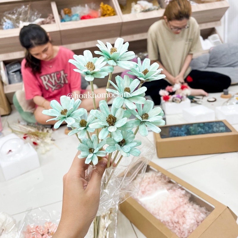 Hoa khô handmade ️FREESHIP ️ Hoa cúc bướm gỗ Butterfly dụng cụ cắm hoa ...