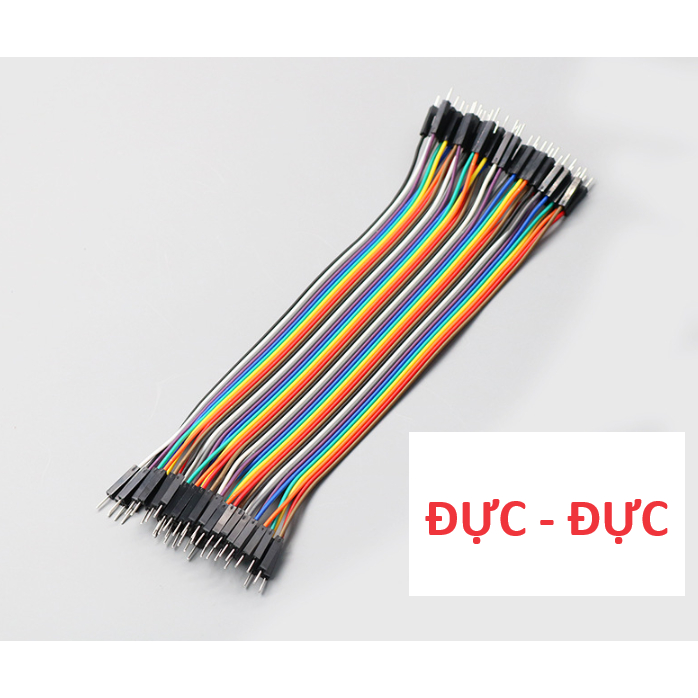 Dây test board hai đầu đực đực 40 sợi chiều dài 20cm | Shopee Việt Nam