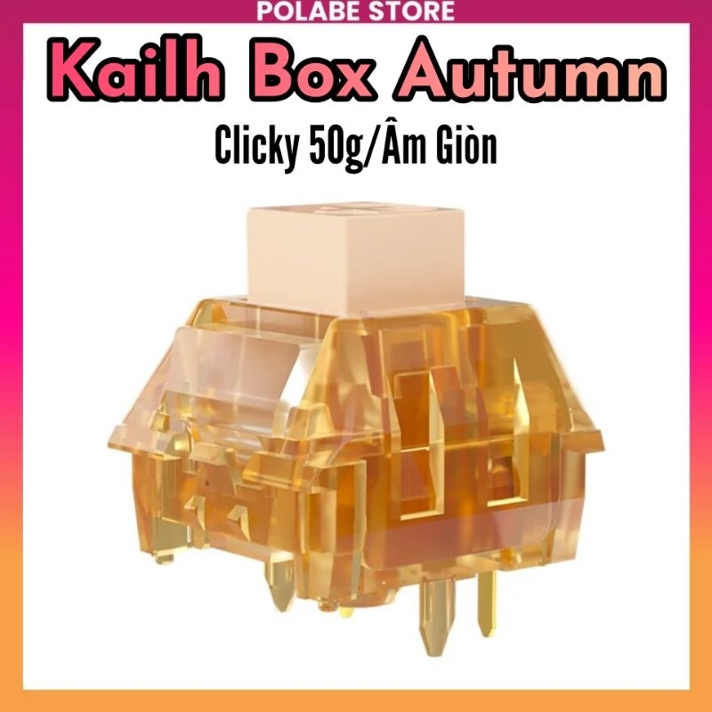 Kailh Arctic Fox BOX WHITE OWL clicky switch Autumn Bàn Phím Cơ Kailh ...