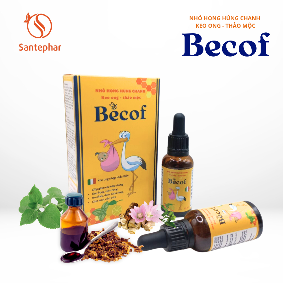 NHỎ HỌNG BECOF - Giúp kháng khuẩn, chống viêm, làm dịu cho khoang miệng ...