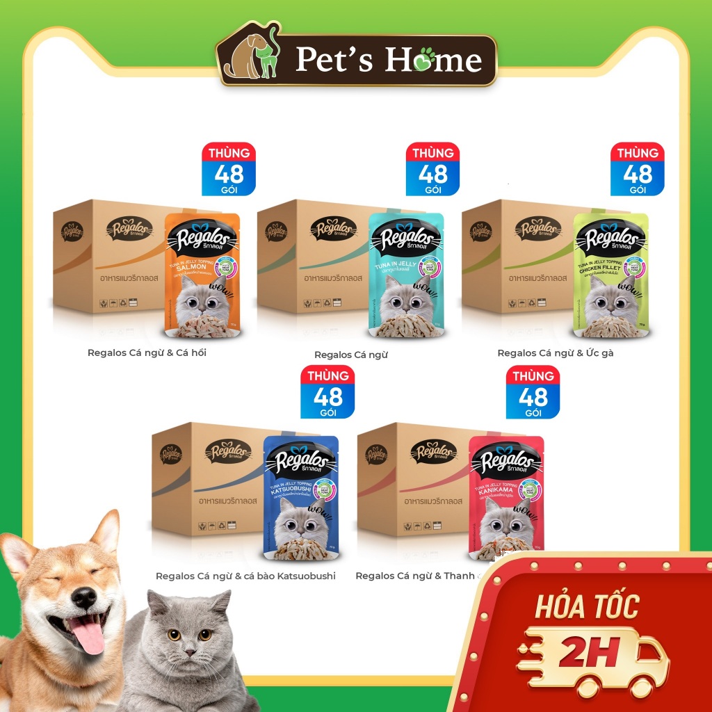Thùng 48 gói pate Regalos cho mèo gói 70g | Shopee Việt Nam