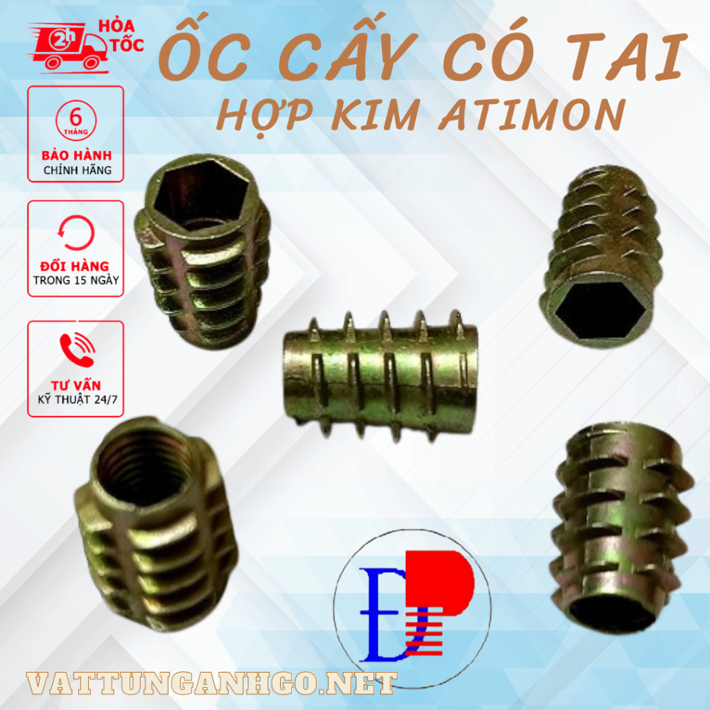 combo 50 con Ốc cấy atimon, sò cấy atimon, ốc atimon. Chất liệu atimon ...