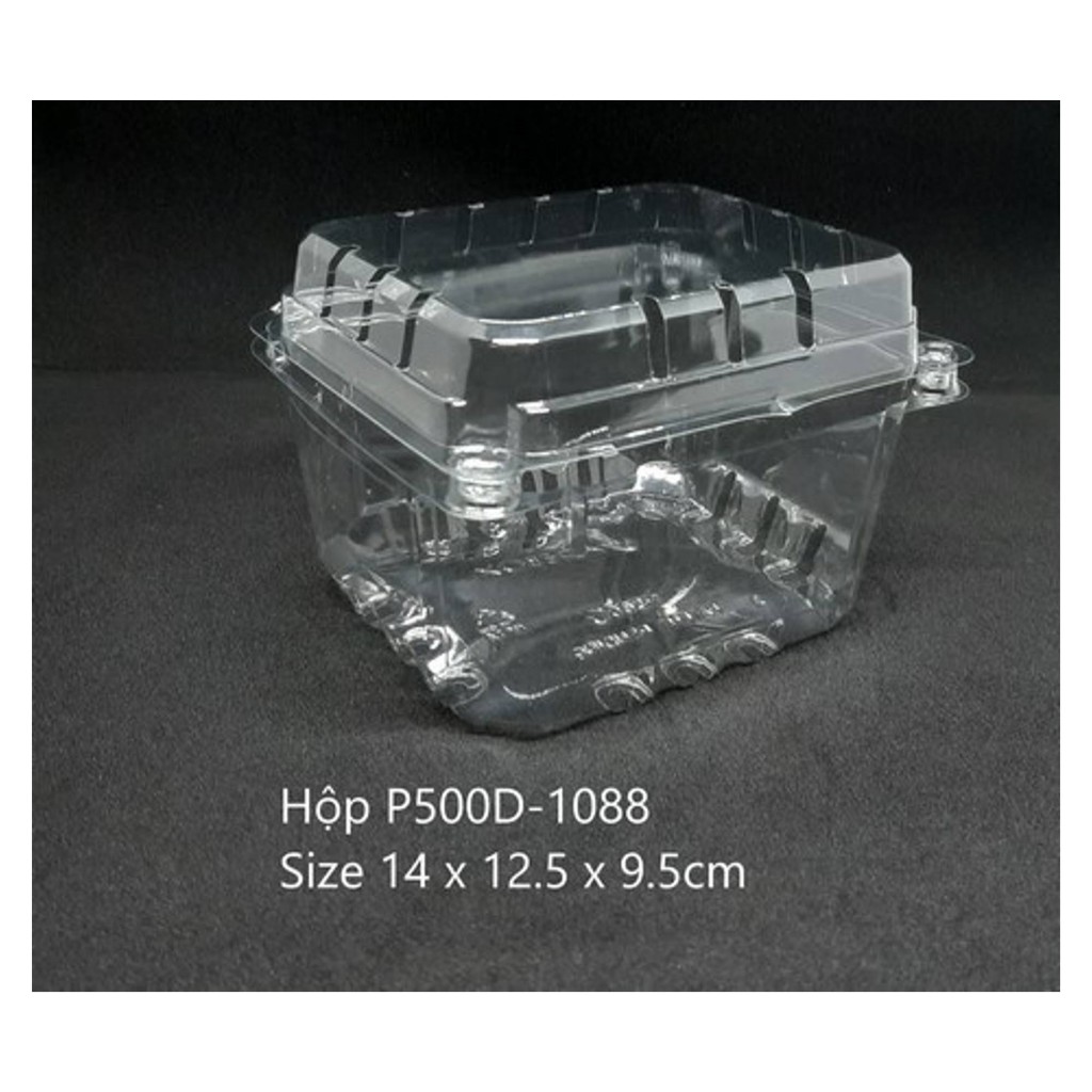 50 -100 Hộp Đựng Trái Cây 1/2 kg P500D | Shopee Việt Nam