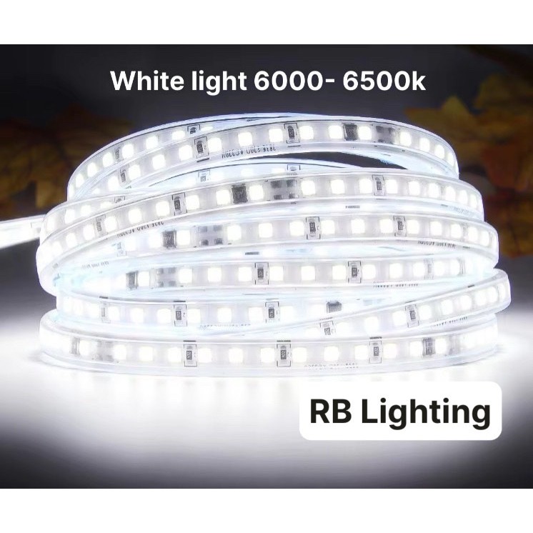 Led dây trắng, vàng, trung tính 220V siêu sáng, hắc trần, trang trí nội ...