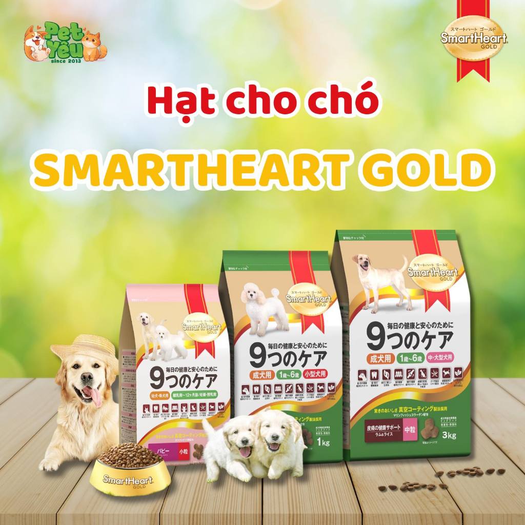 Hạt cho chó Smart Heart Gold. | Shopee Việt Nam