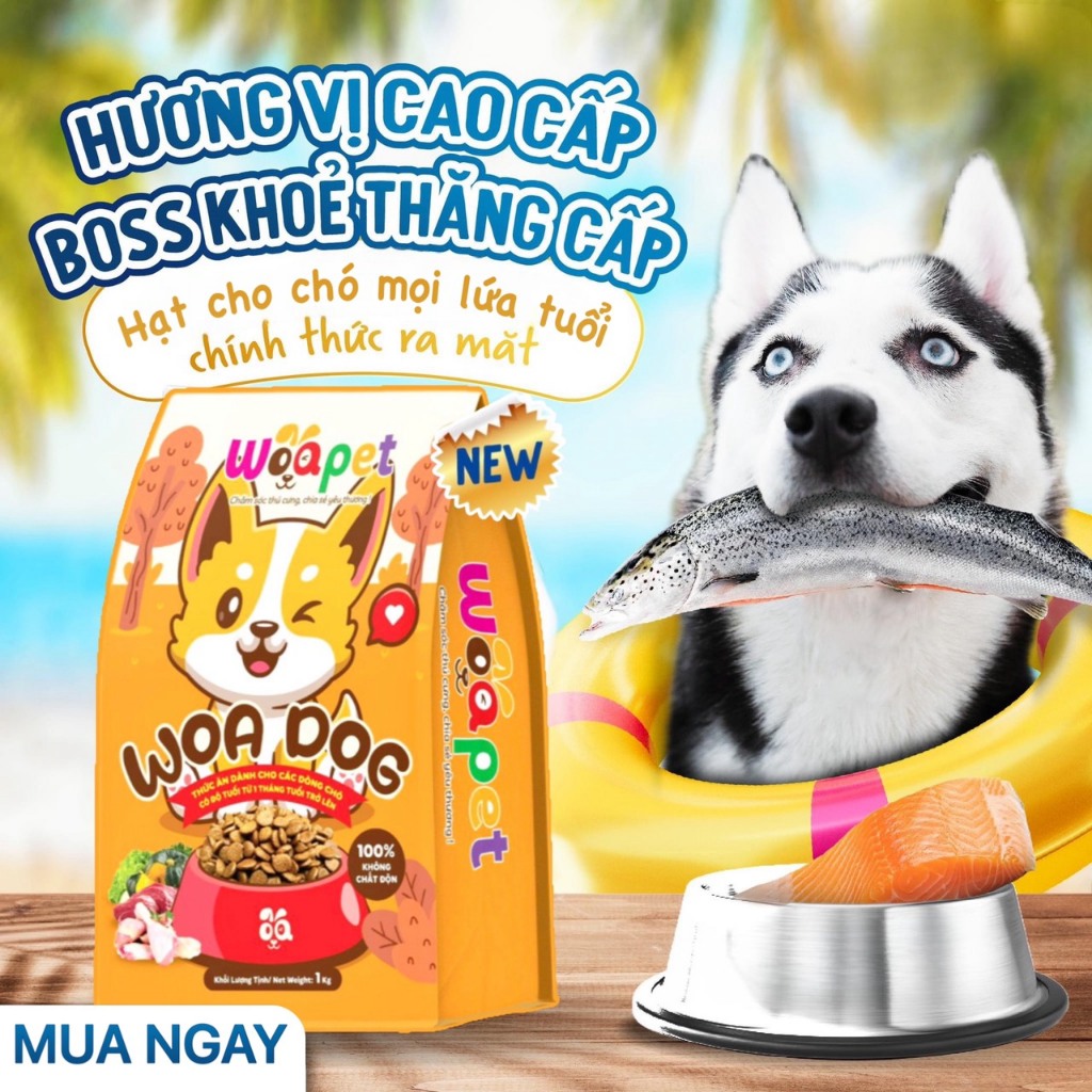 Hạt cho chó - Thức ăn cho chó Woa Dog thơm ngon bổ dưỡng hương vị hoàn ...