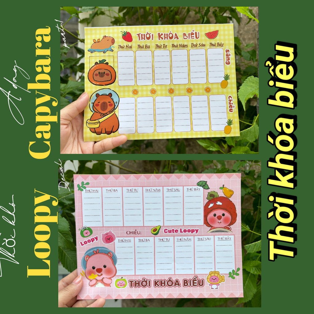 𝐘𝐞̂𝐮 𝐭𝐡𝐢́𝐜𝐡 | Thời Khóa Biểu Có Keo Dán HOTTREND CAPYBARA - LOOPY ...