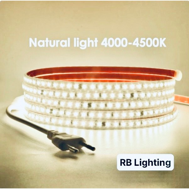 Led dây trắng, vàng, trung tính 220V siêu sáng, hắc trần, trang trí nội ...