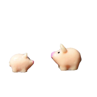 heo mini tiểu cảnh | Shopee Việt Nam