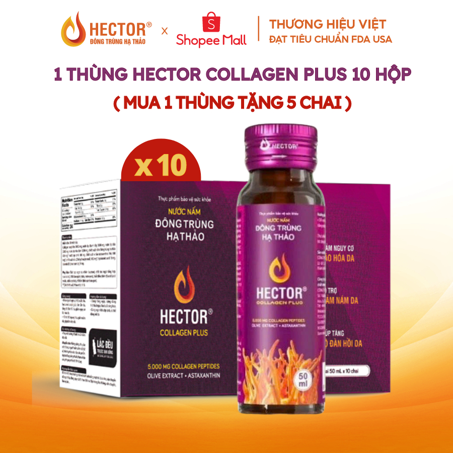1 Thùng Nước nấm Đông Trùng Hạ Thảo Hector Collagen Plus 10 hộp (1 hộp ...