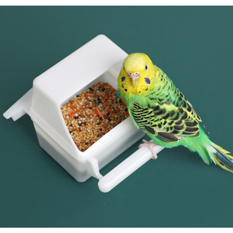 Máng Ăn Chống Vẩy Cho Chim Cảnh Vẹt Lovebird, Yến Phụng- Hạn Chế Vẩy ...