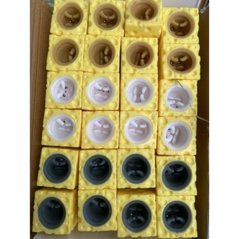 vỉ 24 cái bóp chuột chui ra từ miếng pho mai | Shopee Việt Nam