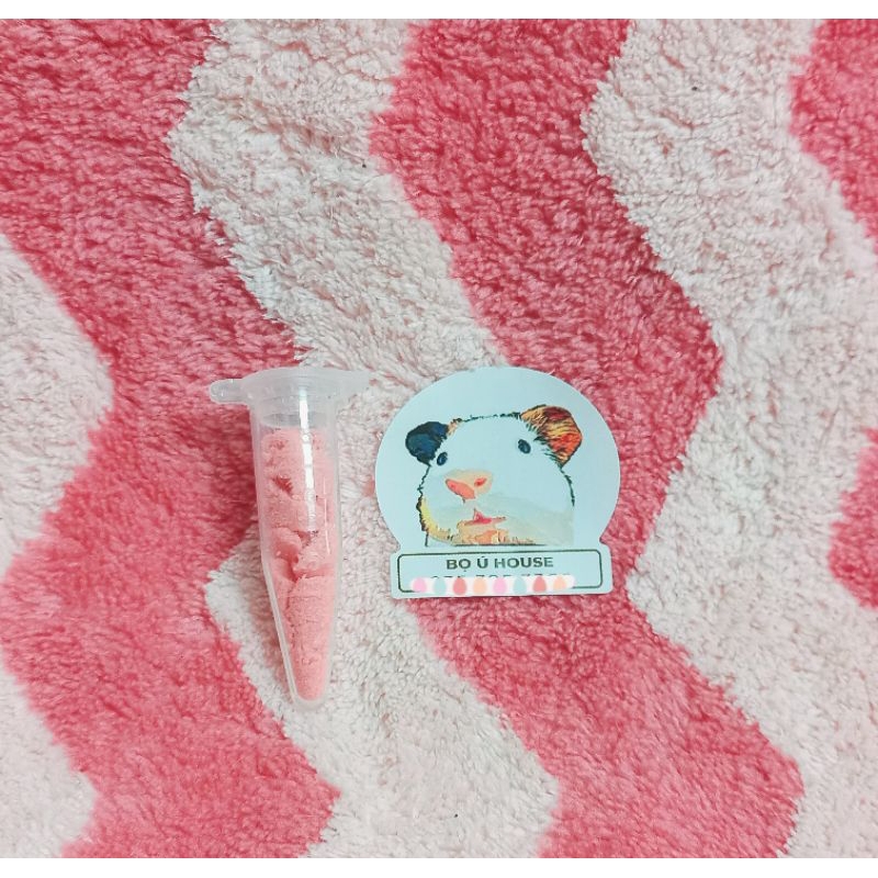 Vtm C cho bọ Ú (chuột Lang) | Shopee Việt Nam