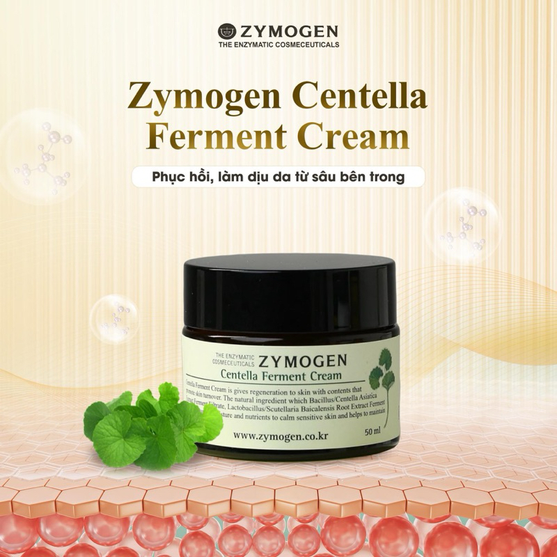 [100% CHÍNH HÃNG] ZYMOGEN CENTELLA FERMENT CREAM 50ml, KEM RAU MÁ PHỤC ...