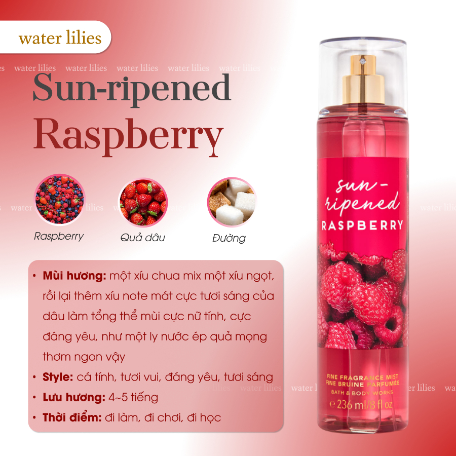 (Fullsize+Sample thử mùi) Xịt thơm toàn thân body mist Bath and Body ...