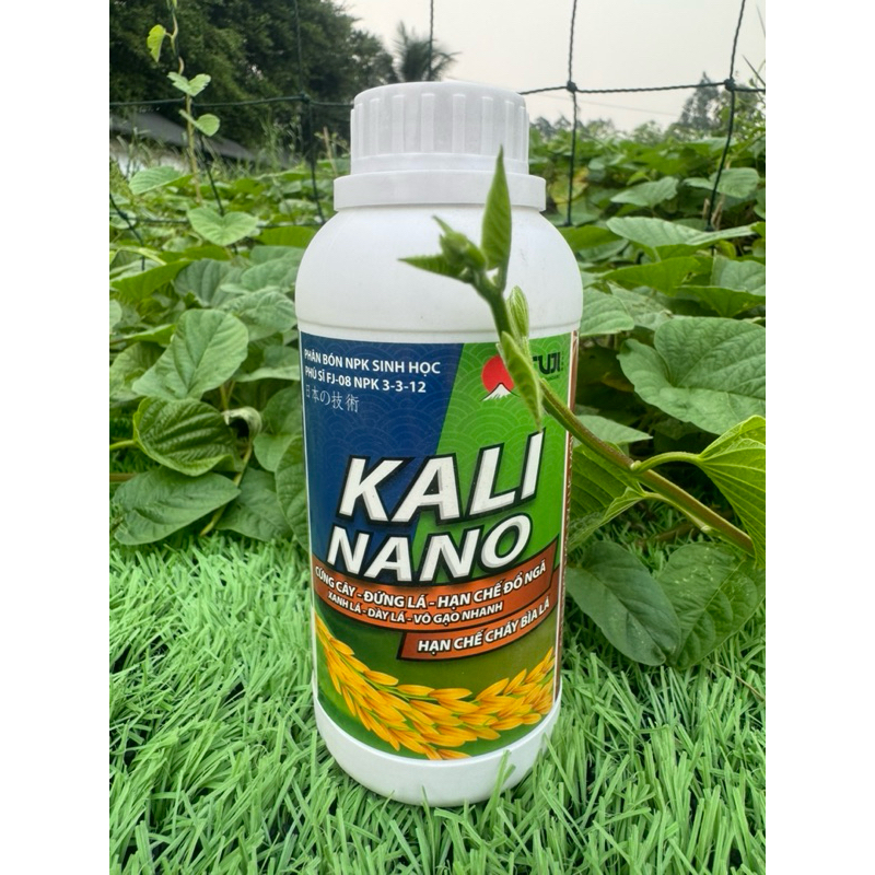 Phân Bón KALI NANO (Chai 500ml) Cứng Cây,Đứng Lá,Xanh Gié,Chắc Hạt,Nặng Ký,To Trái,Đẹp Màu,Ngọt ...