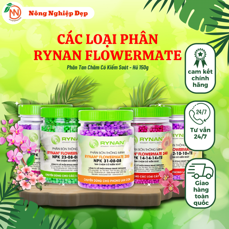 Phân Tan Chậm RYNAN FLOWERMATE - hũ 150g | Shopee Việt Nam