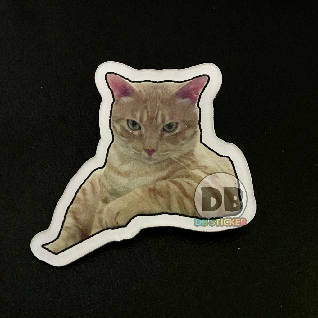 Ghim nhựa cài áo Meme Hình Cheems Mèo Ếch Huy hiệu Ngộ Nghĩnh Nhựa ...