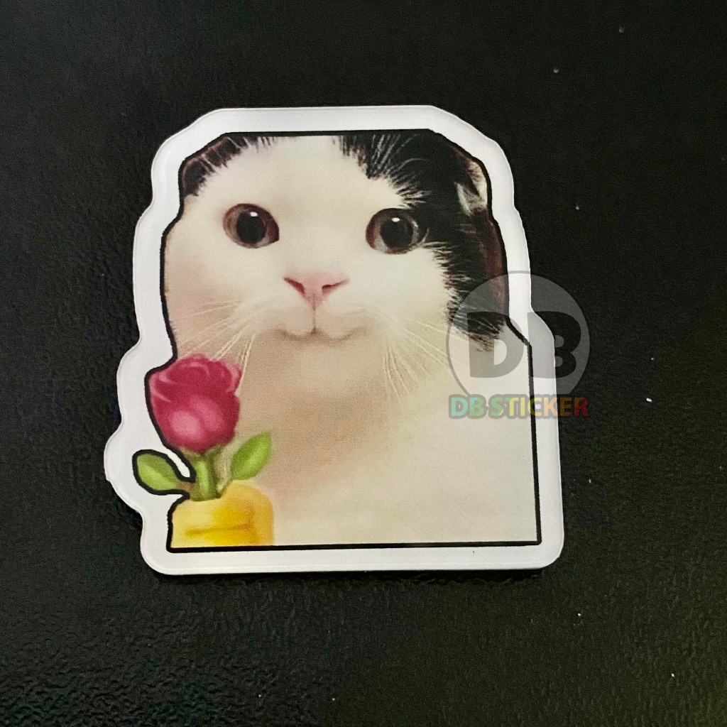 Ghim nhựa cài áo Meme Hình Cheems Mèo Ếch Huy hiệu Ngộ Nghĩnh Nhựa ...