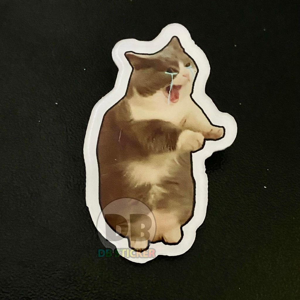 Ghim nhựa cài áo Meme Hình Cheems Mèo Ếch Huy hiệu Ngộ Nghĩnh Nhựa ...