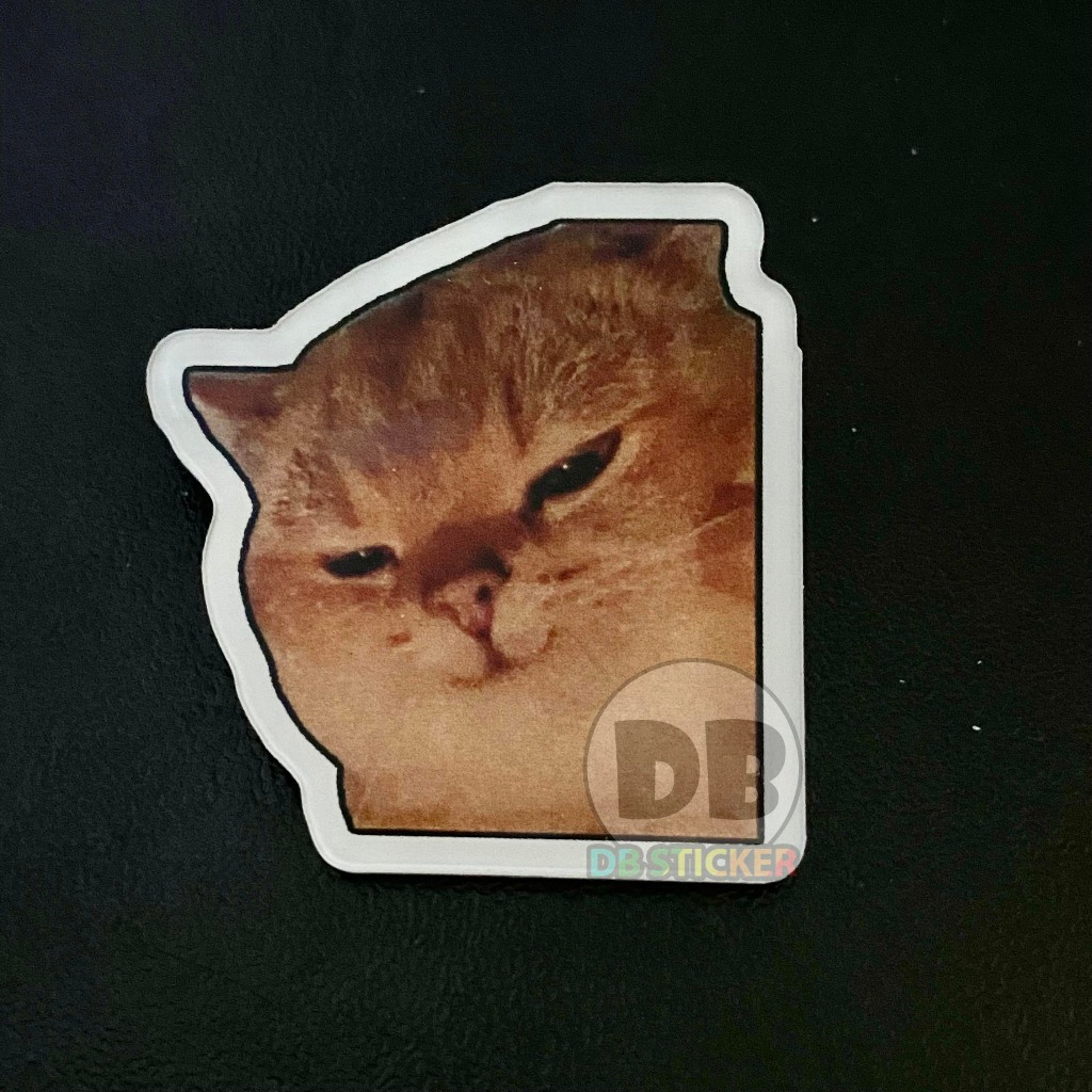 Ghim nhựa cài áo Meme Hình Cheems Mèo Ếch Huy hiệu Ngộ Nghĩnh Nhựa ...