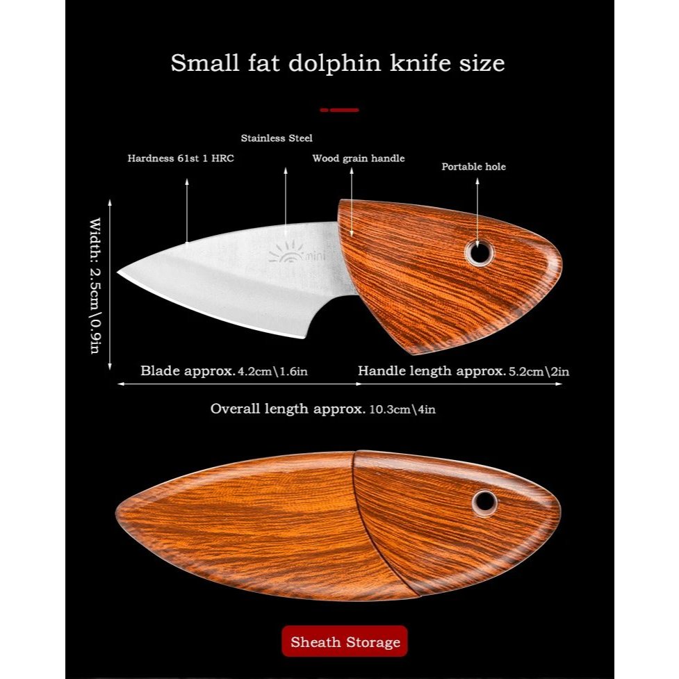 Dao Mini Dao Gọt Hoa Quả Inox Cao Cấp Nhỏ Gọn Dễ Dàng Bỏ Túi, Móc Chìa ...