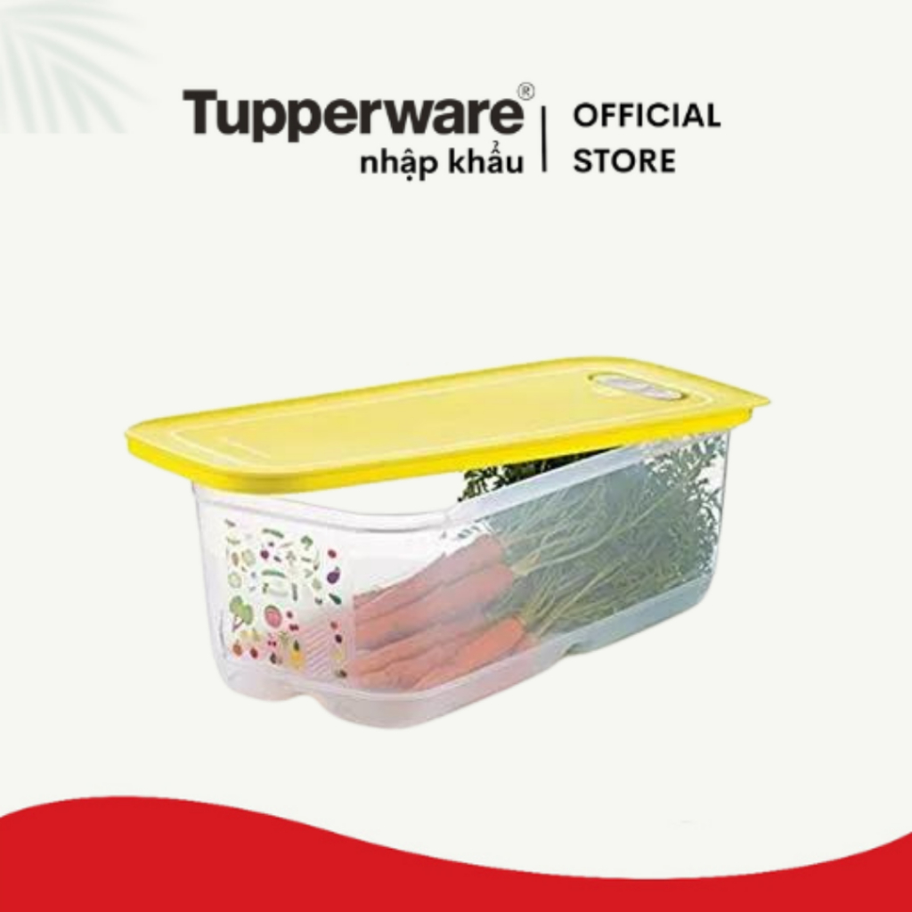 Hộp trữ mát có nút hô hấp Ventsmart Tupperware trữ rau củ quả - Chính ...