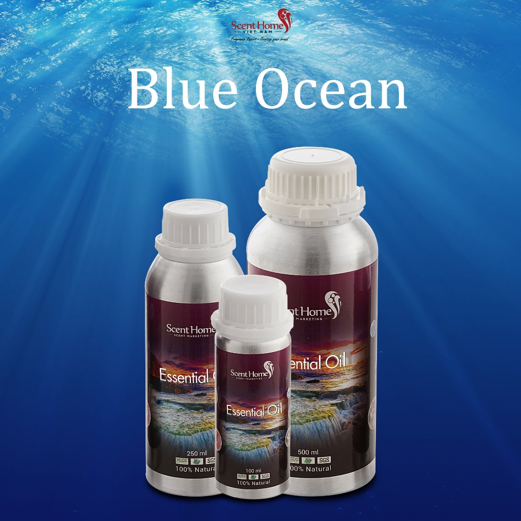 [Chính hãng] Tinh dầu Blue Ocean - ScentHomes (Blue Ocean - 50ml,100ml,250ml) | Shopee Việt Nam