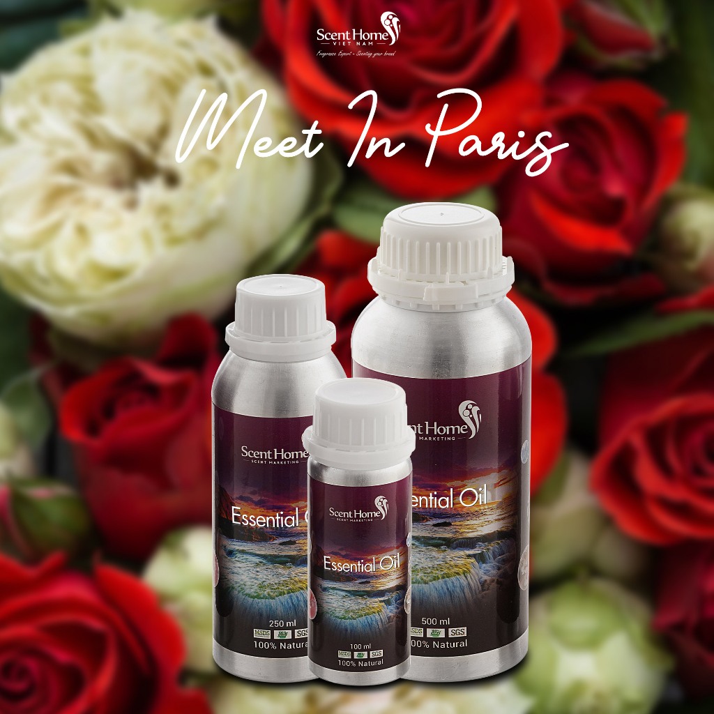 [Chính hãng] Tinh dầu Meet In Paris - ScentHomes (Meet In Paris - 50ml,100ml,250ml) | Shopee ...