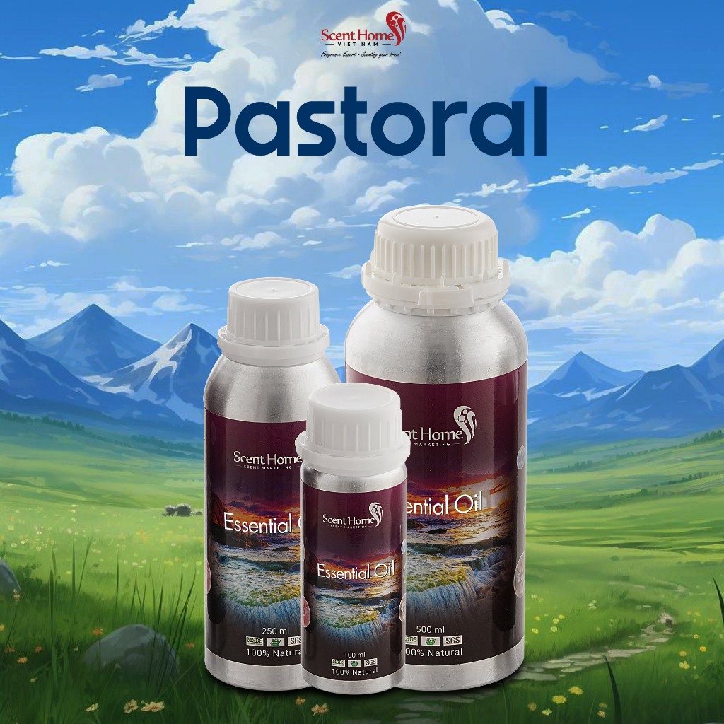 [Chính hãng] Tinh dầu Pastoral - ScentHomes (Pastoral - 50ml,100ml,250ml) | Shopee Việt Nam