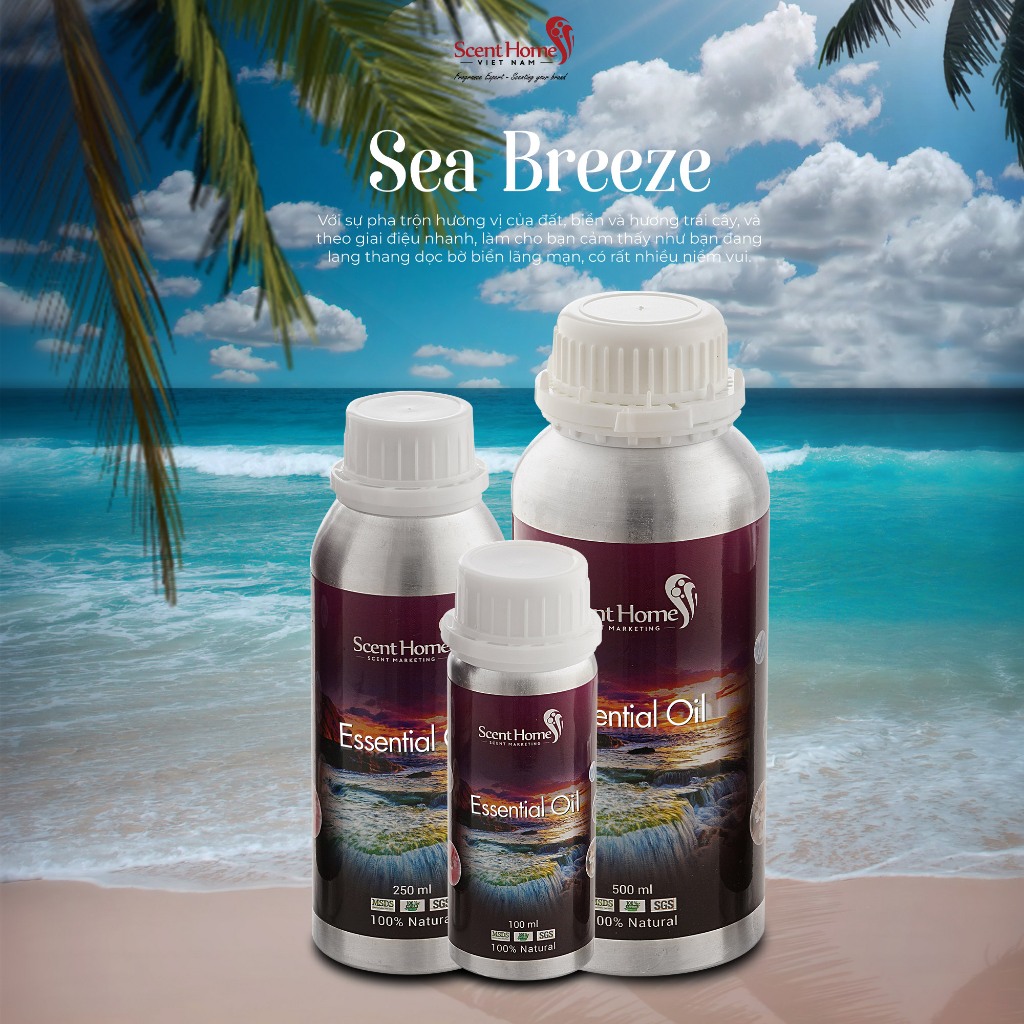 [Chính hãng] Tinh dầu Sea Breeze - ScentHomes ( Sea Breeze- 50ml,100ml,250ml) | Shopee Việt Nam