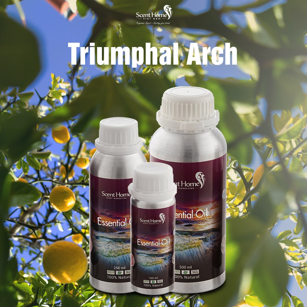 [Chính hãng] Tinh dầu Triumphal Arch - Scent Homes (Triumphal Arch - 50ml,100ml,250ml) | Shopee ...