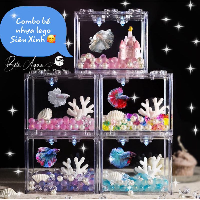 (DEAL HOT) COMBO Bể cá beta, bể cá nhỏ, bể cá nhựa nhiều màu để bàn, bể ...