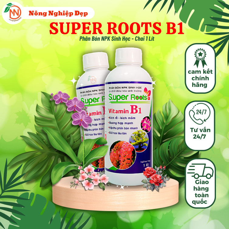 Super Roots Vitamin B1 - Super roots B1 Chai 1 Lít | Shopee Việt Nam