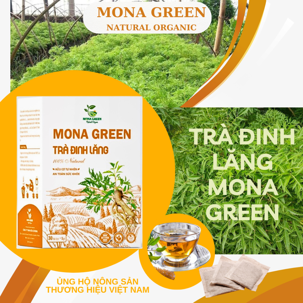 Trà đinh lăng thải độc mát gan - Trà Thảo Mộc Ngủ Ngon Mona Green 30 túi lọc/hộp | Shopee Việt Nam