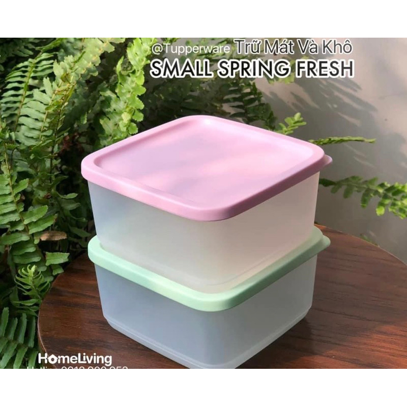 Hộp trữ mát Small Square Round 650ml (1hộp màu ngẫu nhiên) | Shopee ...