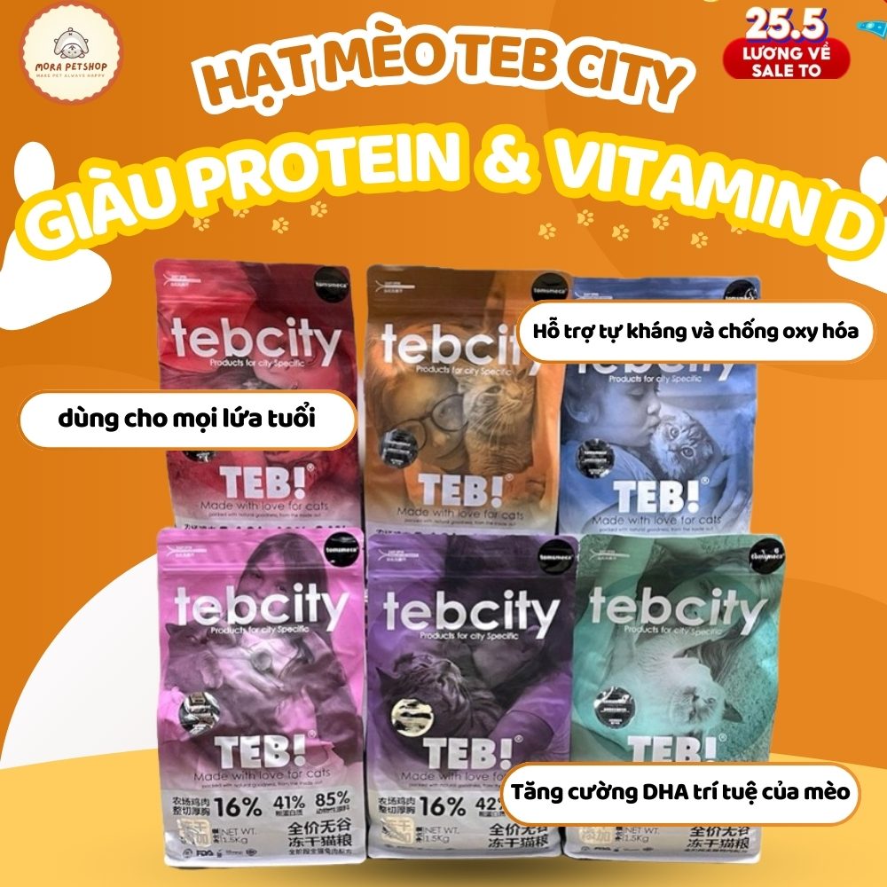 Hạt TEB CITY cho mèo mix topping 43% Protetin thức ăn cho mèo cao cấp ...