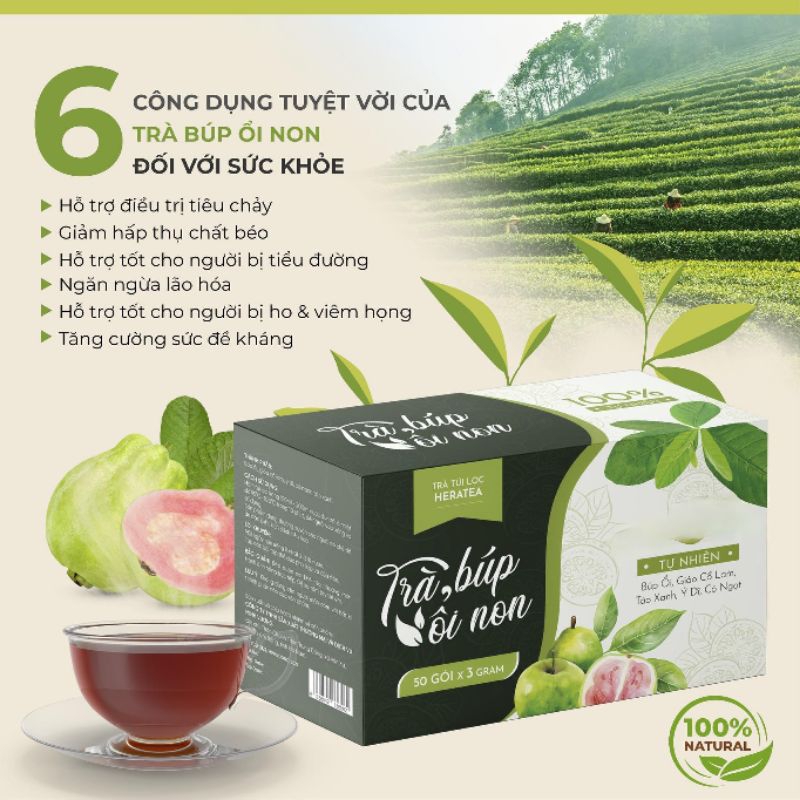 Trà búp ổi non túi lọc (50 túi x 3g) - Nước Trà, Tea | Shopee Việt Nam