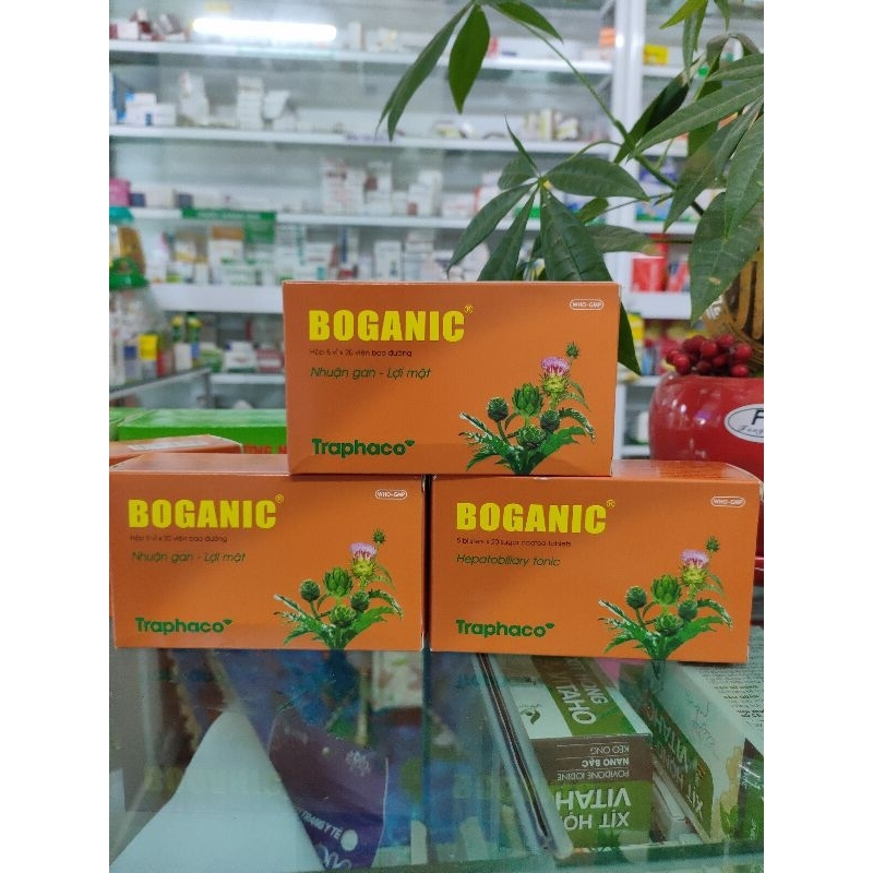 Bổ gan Boganic Traphaco hộp 100 viên bao phim (Chính Hãng) | Shopee ...