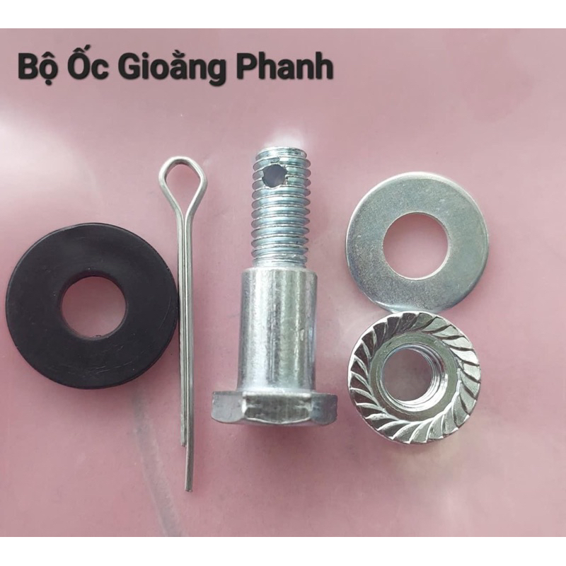 Ốc Bát Tai Phanh | Shopee Việt Nam