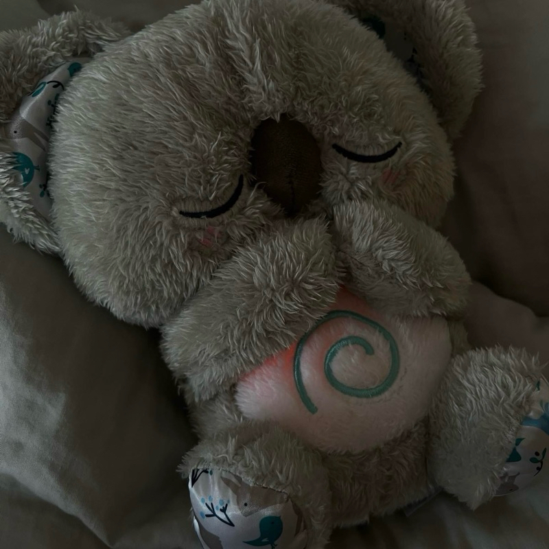 Teddy bear nhịp thở Gấu bông nhịp thở lông mềm mịn đáng yêu | Shopee ...