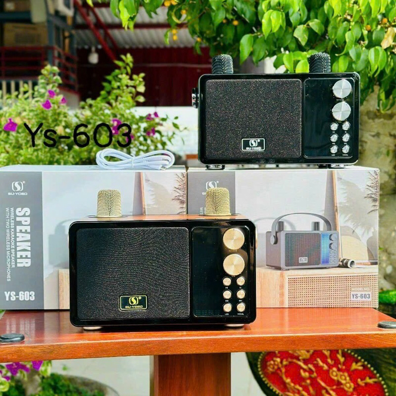 Loa Bluetooth YS-603 kèm 2 micro karaoke không dây công suất 20W | Shopee Việt Nam