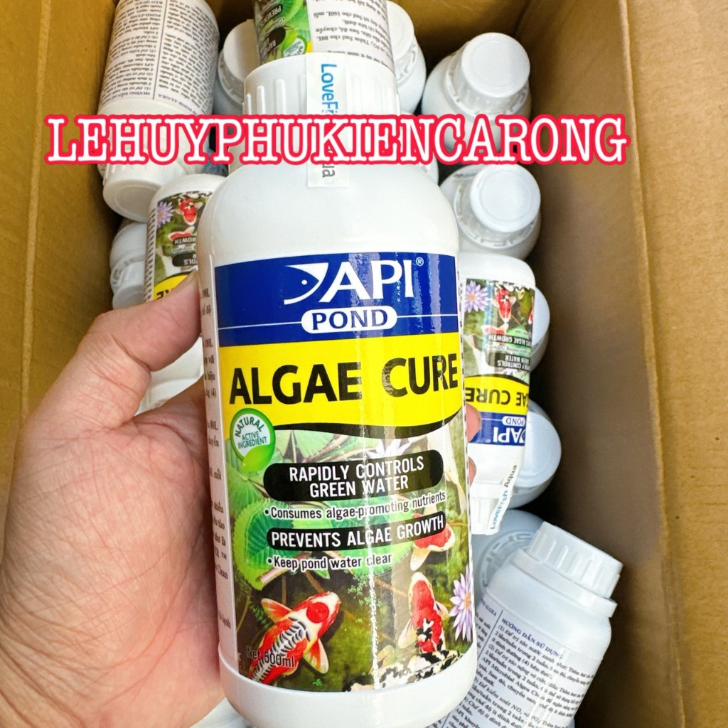 API Algae Cure Pond Vi Sinh Ăn Tảo Sống, Phân Hủy Chất Hữu Cơ Làm Trong ...