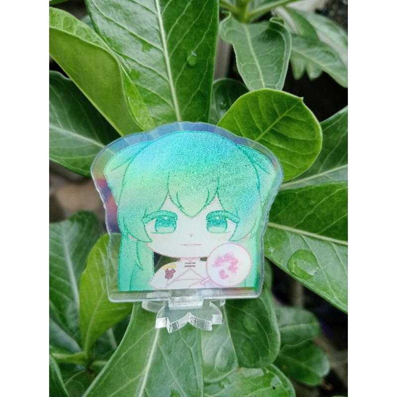 Standee 5cm | Shopee Việt Nam