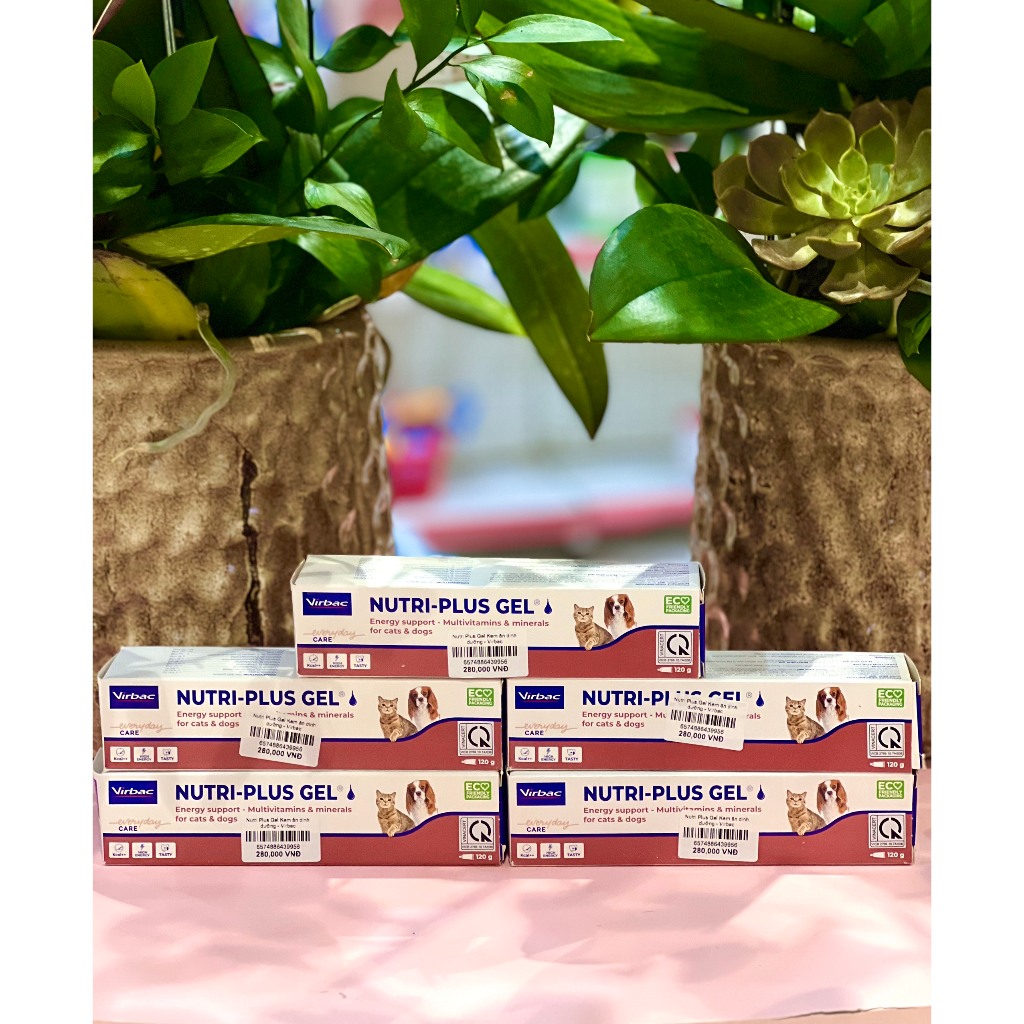Nutri-plus gel - Gel dinh dưỡng cao năng lượng dùng cho thú cưng mẫu ...