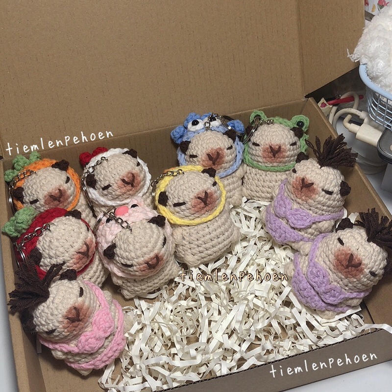 CAPYBARA LEN | Shopee Việt Nam