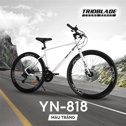 [YN 818] Xe đạp thể thao địa hình Trioblade Cường Kengg bộ đề 24 cấp độ ...