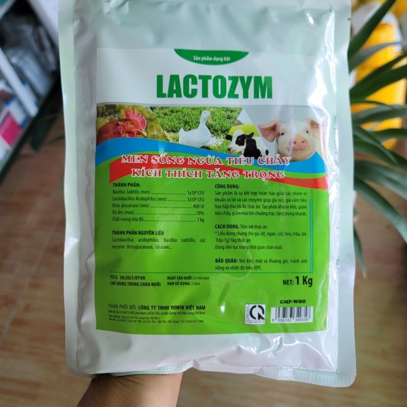 Gói men tiêu hóa sống Lactozym 1kg ngừa tiêu chảy, kích thích tăng ...