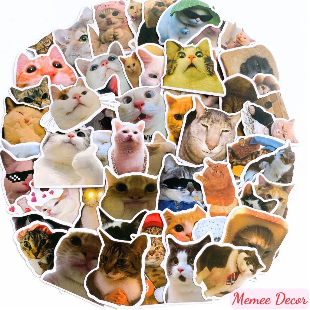 Bộ 50 Sticker Meme Mèo Vui Nhộn Đáng Yêu Hình Dán Chống Nước Dùng Để ...
